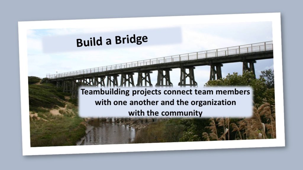 Build a Bridge – ProSynEx Leadership